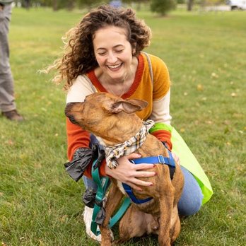 CITY DOGS - CLEVELAND - Updated September 2025 - 19 Photos - 9203 ...