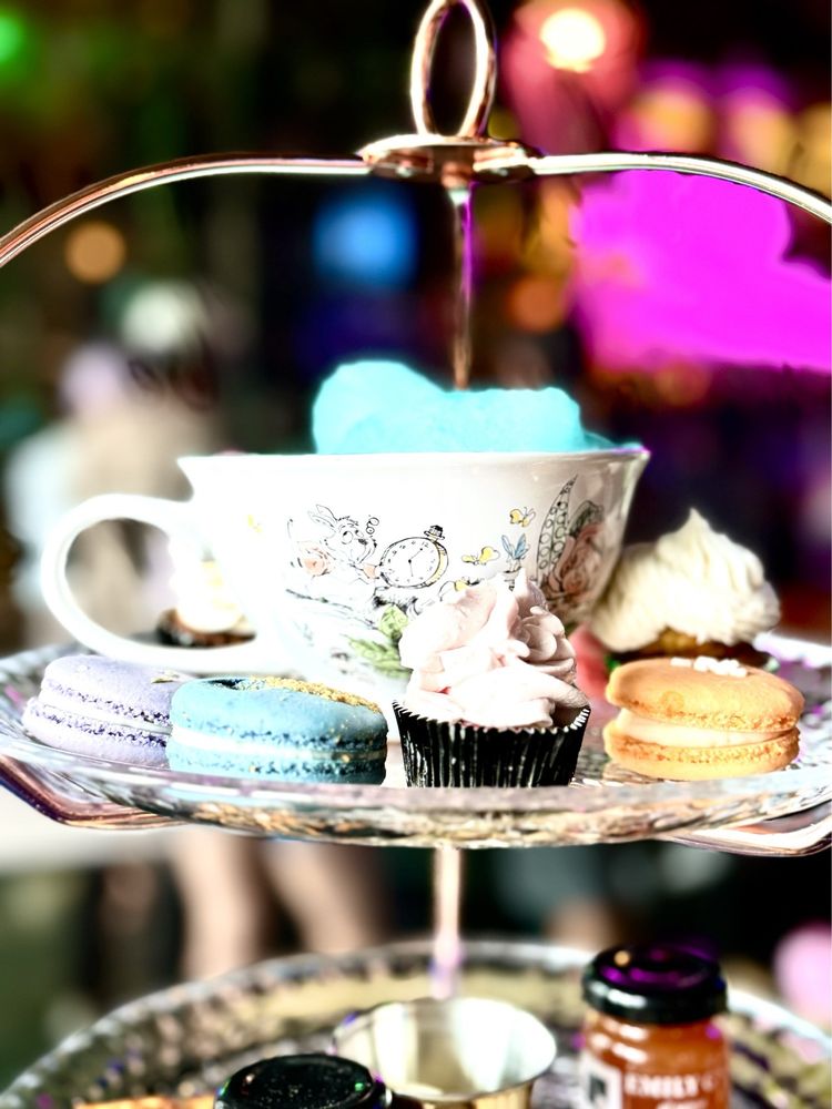 ALICE IN APPALACHIA - Updated October 2025 - 179 Photos & 49 Reviews ...