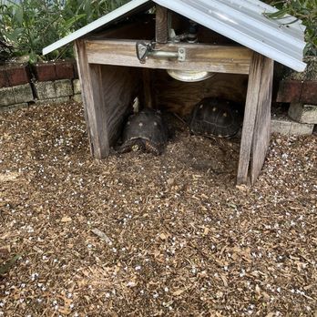 TWO TAILS RANCH - Updated December 2025 - 125 Photos & 94 Reviews ...