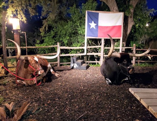 KNIBBE RANCH - 40 Photos & 15 Reviews - 9836 Spring Branch Rd, Spring ...