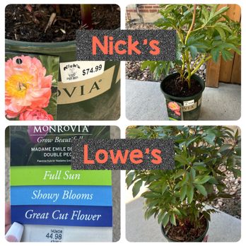 NICKS GARDEN CENTER - Updated June 2025 - 482 Photos & 259 Reviews ...