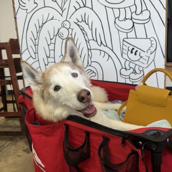 THE CRUMB FACTORY BAKERY - Updated 05/2025 - 220 Photos & 108 Reviews ...