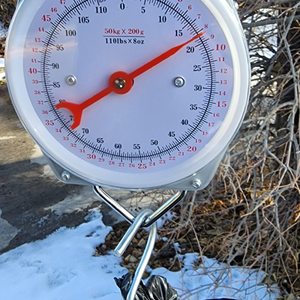 WASTE CONNECTIONS OF COLORADO - Updated August 2024 - 33 Photos & 429 ...