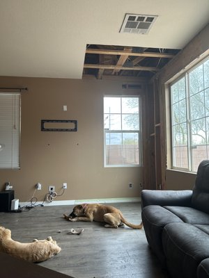 ADVANCED HOME SERVICES - Updated December 2025 - 93 Photos & 303 ...