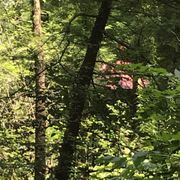 OREGON RIDGE NATURE CENTER - 135 Photos & 48 Reviews - 13555 Beaver Dam ...