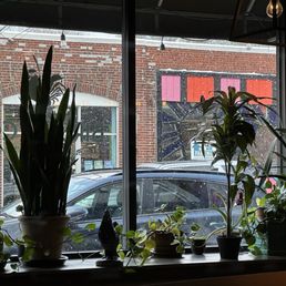 BIRD & CO - Updated October 2025 - 368 Photos & 278 Reviews - 539 ...