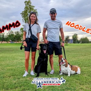 ALL-AMERICAN K-9 DOG TRAINING - 356 Photos & 232 Reviews - Pet Training ...