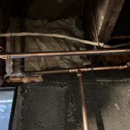 Len The Plumber Reviews | Read Customer Service Reviews of ...