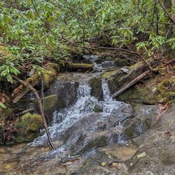 THE 10 BEST Things to Do in Wilton Springs, TN - 2025 - Yelp