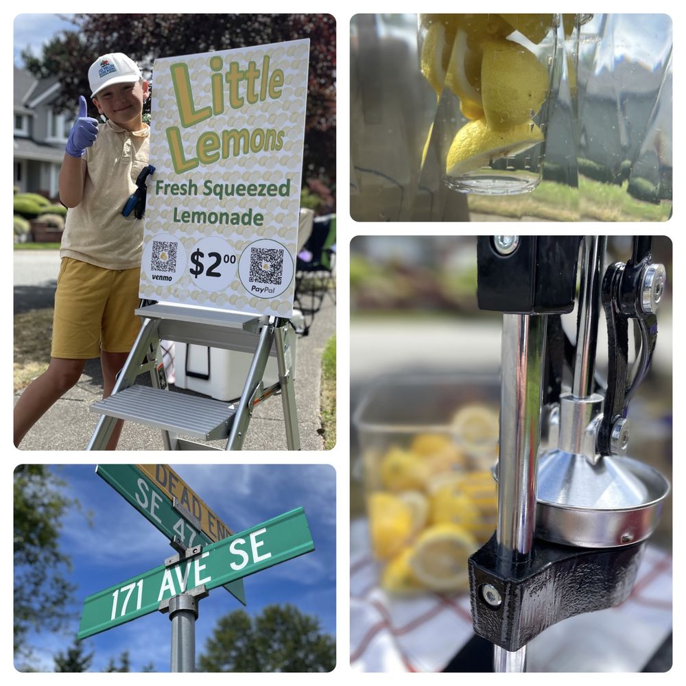 LITTLE LEMONS LEMONADE - Updated October 2025 - Bellevue, Washington - Food Stands - Restaurant ...