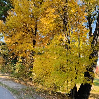 DODGE PARK - Updated August 2024 - 476 Photos & 47 Reviews - 40620 ...