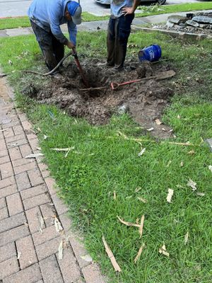 ANDY’S SPRINKLER, DRAINAGE & LIGHTING - Updated September 2025 - 21 ...