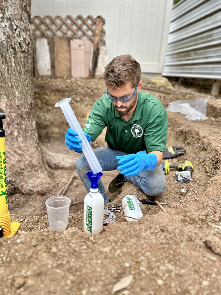 TREE SERVICE & CONSULTING - Updated August 2025 - 74 Photos - Austin ...