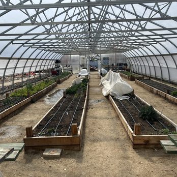 URBAN ROOTS - Updated September 2025 - 28 Photos & 14 Reviews - 1700 E ...