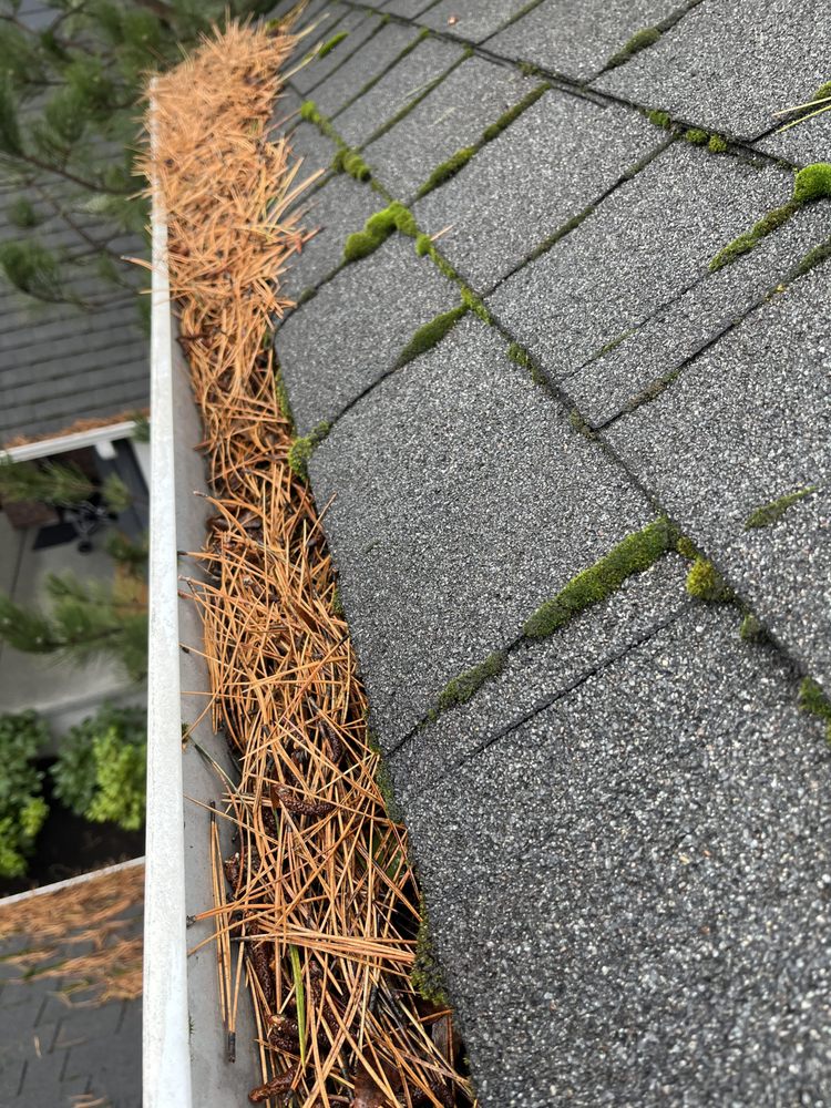 MONSOON ROOFING & GUTTER PROS - Updated September 2025 - Request a ...