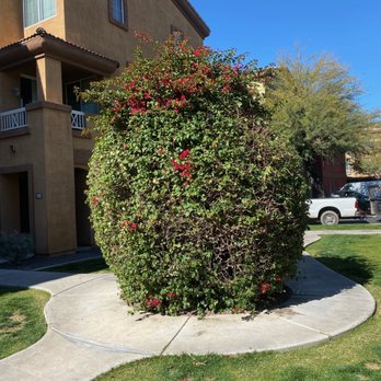 PARKSIDE CONDOMINIUMS - 1920 E Bell Rd, Phoenix, Arizona - Condominiums ...