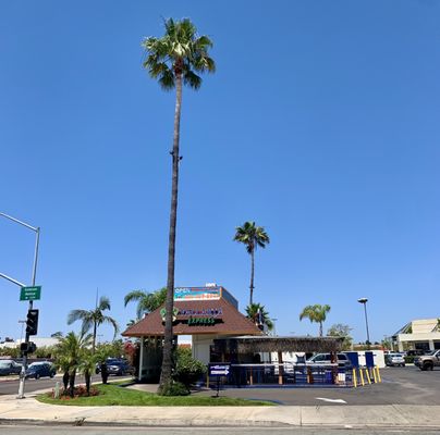 VALLARTA EXPRESS MEXICAN EATERY - 831 Photos & 1485 Reviews - Mexican ...