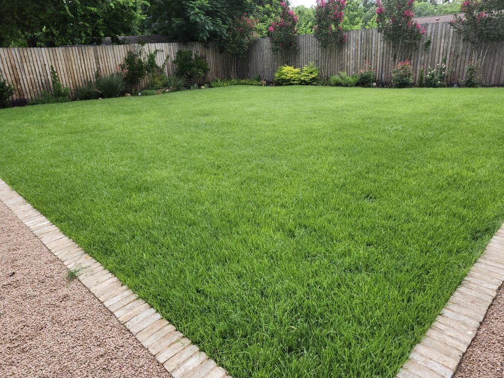 LEGIT LANDSCAPING - Updated June 2024 - Austin, Texas - Tree Services ...