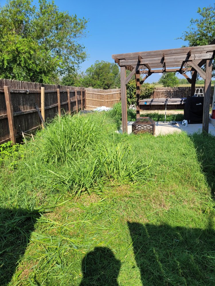 FACH LAWN CARE - Updated May 2026 - 10 Photos - Temple, Texas - Lawn ...