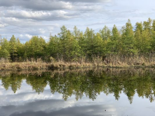 VOLO BOG STATE NATURAL AREA - Updated August 2025 - 63 Photos & 34 ...