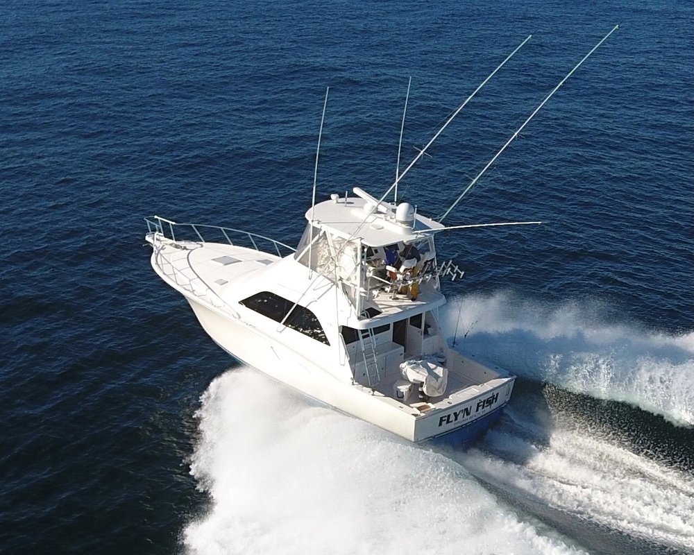 FLY N FISH SPORTFISHING - 13 Photos - 200 Winston Salem Ave, Virginia ...