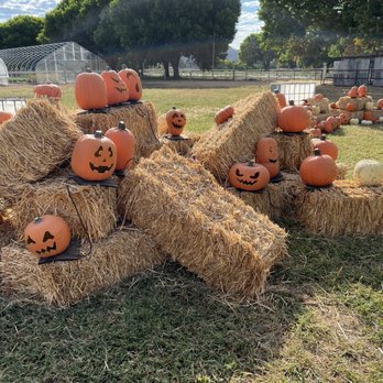 MORTIMER FARMS - Updated August 2025 - 598 Photos & 324 Reviews - 12907 ...