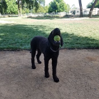 SAM COMBS PARK - Updated October 2025 - 19 Photos & 13 Reviews - 205 ...