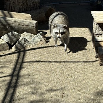 ANIMAL ARK - Updated October 2025 - 514 Photos & 161 Reviews - 1265 ...