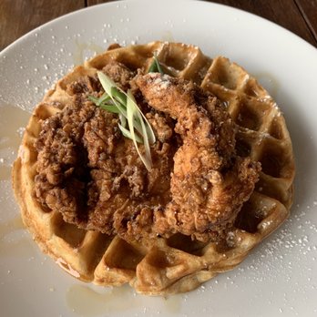 HUMMINGBIRD - 345 Photos & 176 Reviews - 1053 E Whitaker Mill Rd ...