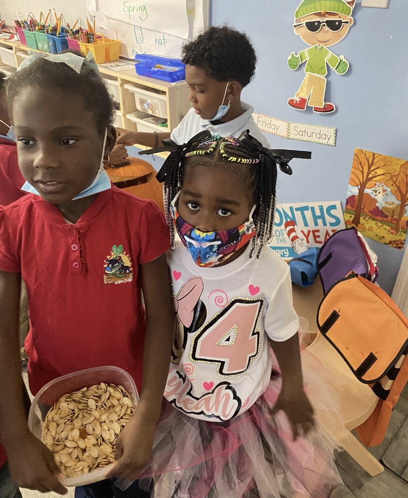 DEVINED LITTLE STEPS ACADEMY - Updated April 2024 - Tampa Palms ...