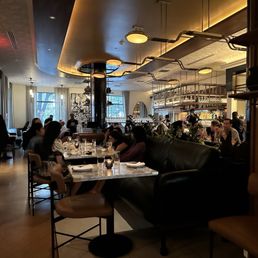 LADYHAWK - Updated December 2025 - 396 Photos & 199 Reviews - 623 North ...