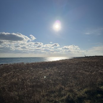 SACHUEST POINT NATIONAL WILDLIFE REFUGE - Updated December 2025 - 242 ...