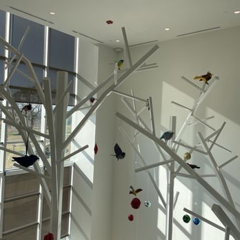 ARKANSAS CHILDREN’S NORTHWEST HOSPITAL - Updated March 2026 - 43 Photos ...