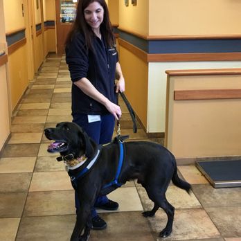 NORTHSTAR VETS - ROBBINSVILLE - Updated July 2024 - 118 Photos & 256 ...