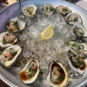 KELLY’S HALF SHELL PUB - 234 Photos & 230 Reviews - 390 N Suncoast Blvd ...