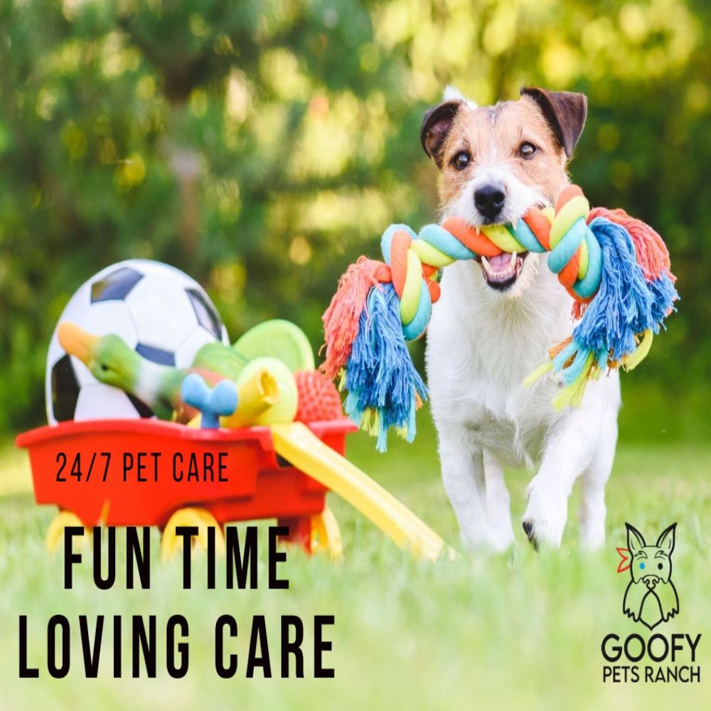 GOOFY PETS RANCH - Updated October 2025 - Request Information - 12 ...