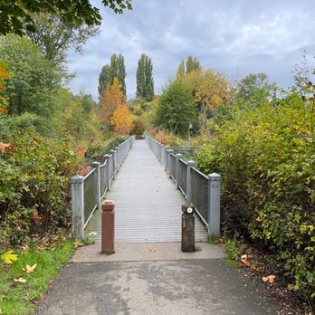 MEADOWBROOK POND - Updated December 2025 - 45 Photos - 35TH Ave NE ...