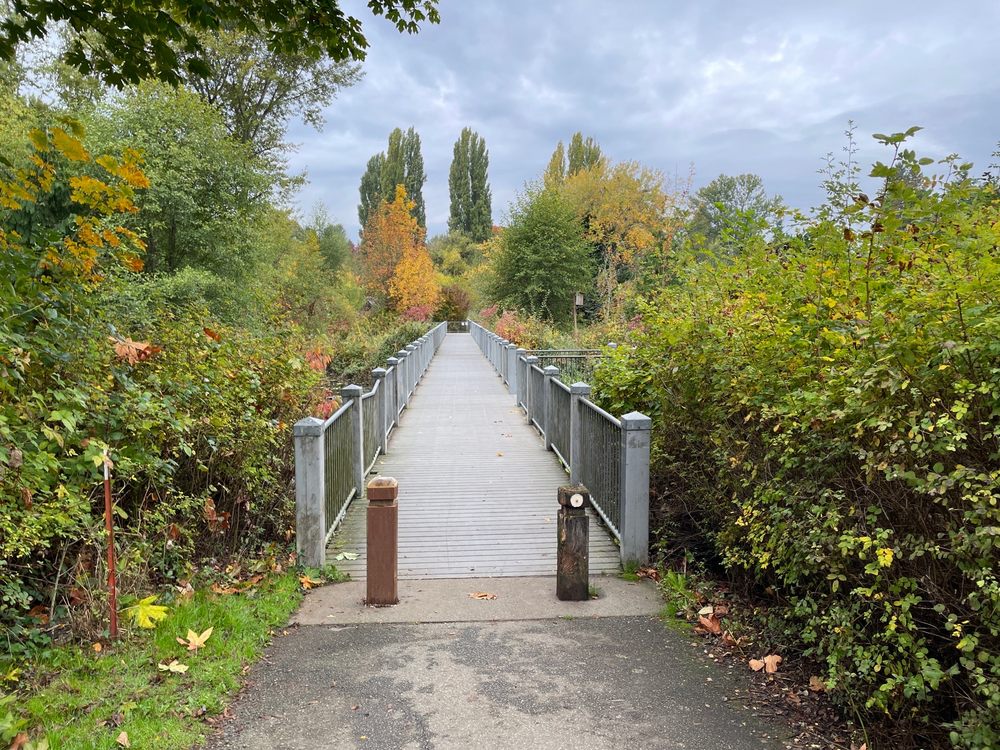 MEADOWBROOK POND - Updated October 2025 - 45 Photos - 35TH Ave NE ...