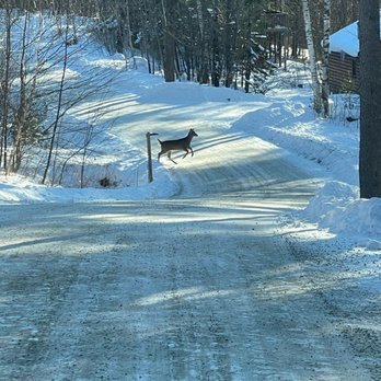 STERLING RIDGE RESORT - Updated December 2025 - 48 Photos & 38 Reviews ...