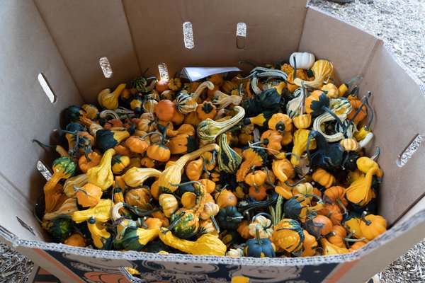 CONKLIN FARM U-PICK - 75 Photos & 32 Reviews - 10 Vreeland Ave ...