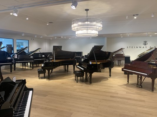 STEINWAY PIANO GALLERY - CLEARWATER - Updated December 2025 - 5990 ...