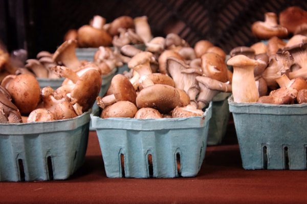 RUSTIC ROAD FARM - 70 Photos & 16 Reviews - 1N292 Brundige Rd, Elburn ...