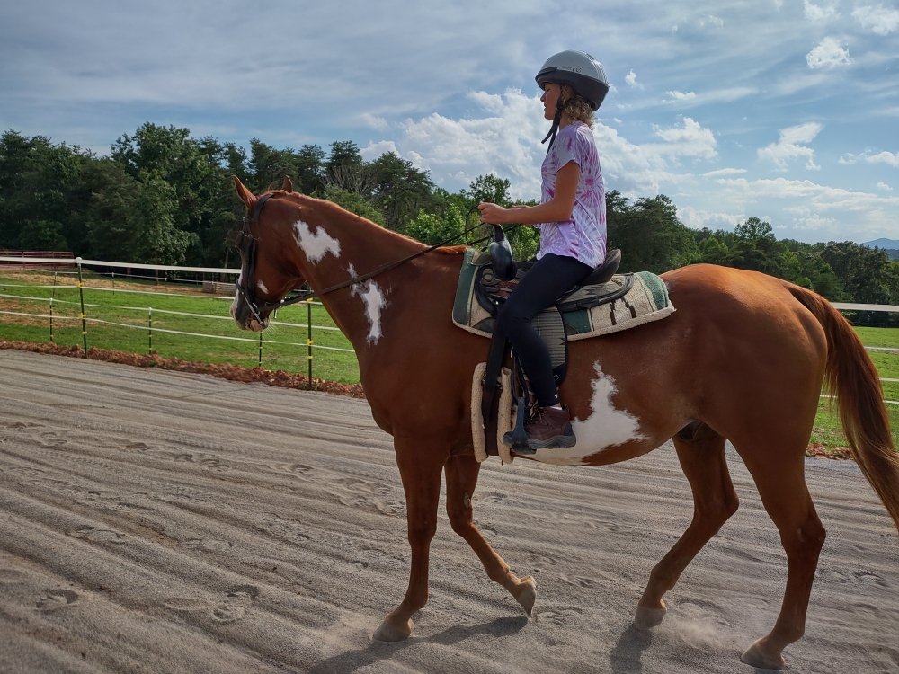 PINE RIDGE STABLE’S - Updated December 2025 - 31 Photos - 3693 ...