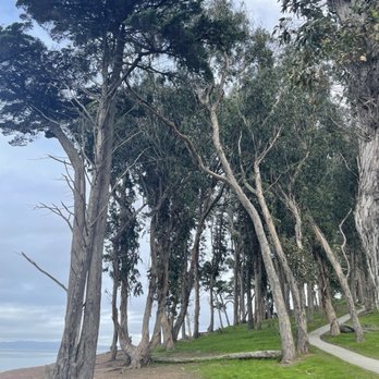 COYOTE POINT RECREATION AREA - Updated August 2025 - 667 Photos & 239 ...