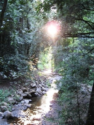 MACMURRAY RANCH - Updated November 2025 - 3387 Dry Creek Rd, Healdsburg ...