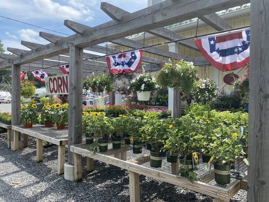 DREYER FARMS - Updated June 2024 - 65 Photos & 60 Reviews - 831 ...