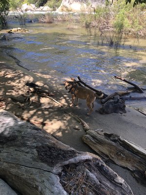 JOHNSONDALE BRIDGE RIVER TRAIL - 23 Photos - 26 Kern River Hwy ...