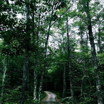 DOUGLAS STATE FOREST - Updated October 2025 - 49 Photos & 20 Reviews ...