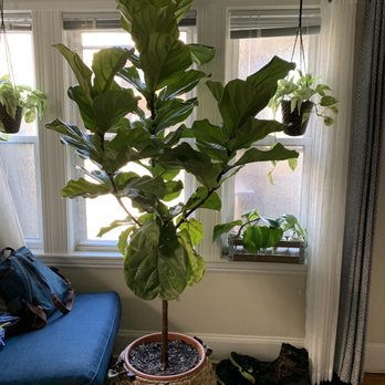 BRIGGS NURSERY - Updated July 2025 - 141 Photos & 76 Reviews - 295 ...