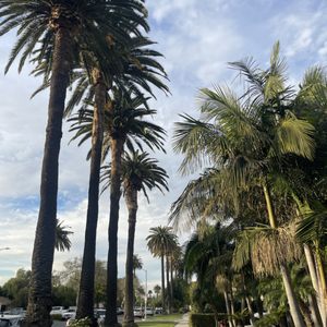 PLAYA DEL REY CENTER - Updated June 2025 - 26 Reviews - 7716 West ...